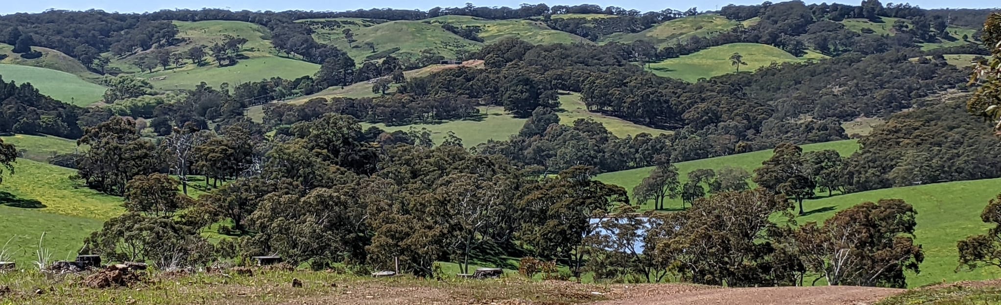 Kuitpo Forest Extended Loop: 21 Reviews, Map - South Australia ...