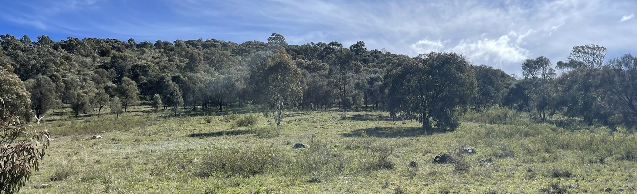 Mount Taylor Base Circuit: 45 Reviews, Map - Australian Capital ...