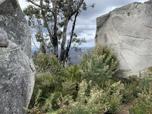 Best Hikes and Trails in Darling Range | AllTrails