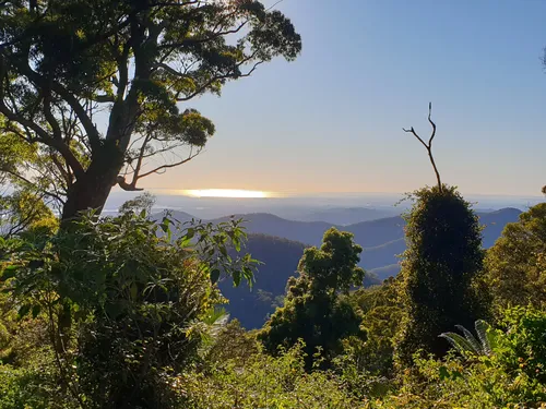 10 Best Trails and Hikes in Mount Glorious | AllTrails