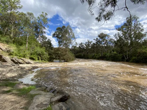 10 Best Hikes and Trails in Warrandyte State Park | AllTrails