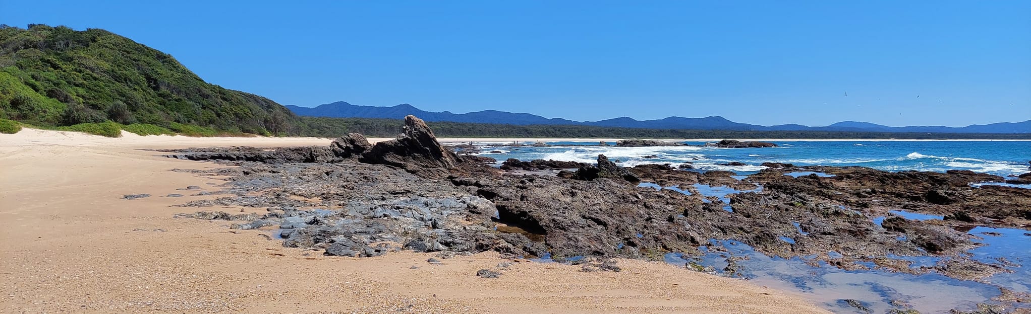 Bundageree Rainforest Walk: 69 foto's - Nieuw-Zuid-Wales, Australië ...