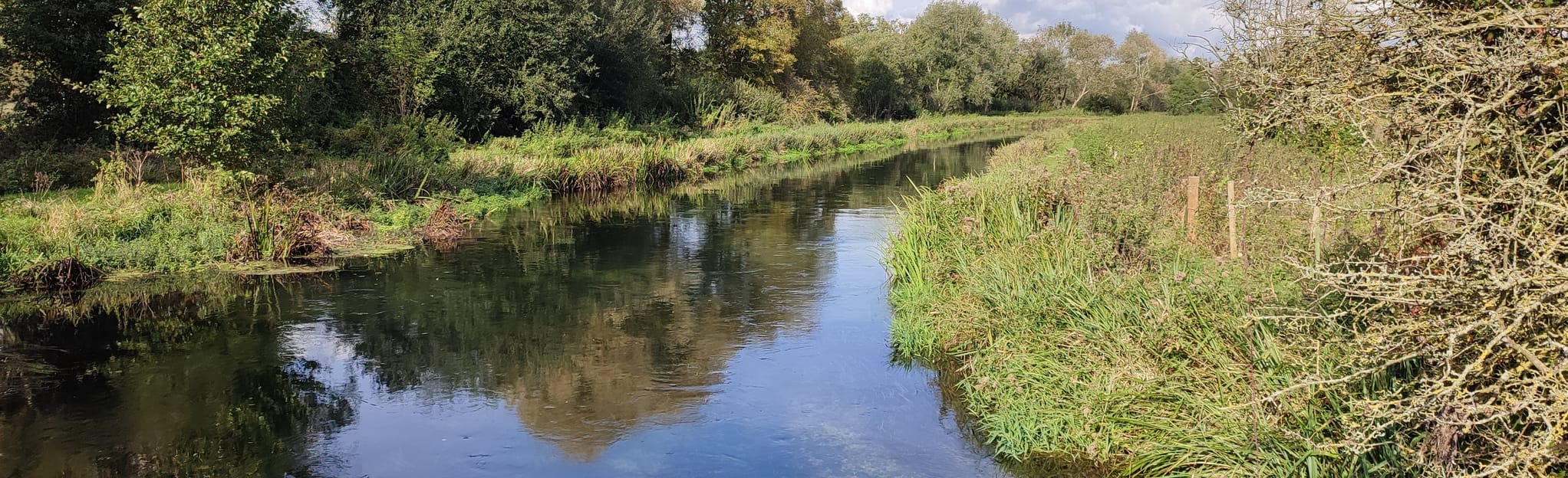 Clarendon Way, Houghton to Kings Somborne Circular, Hampshire, England ...