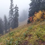 Johnson Ridge Trail, Washington - 235 Reviews, Map | AllTrails