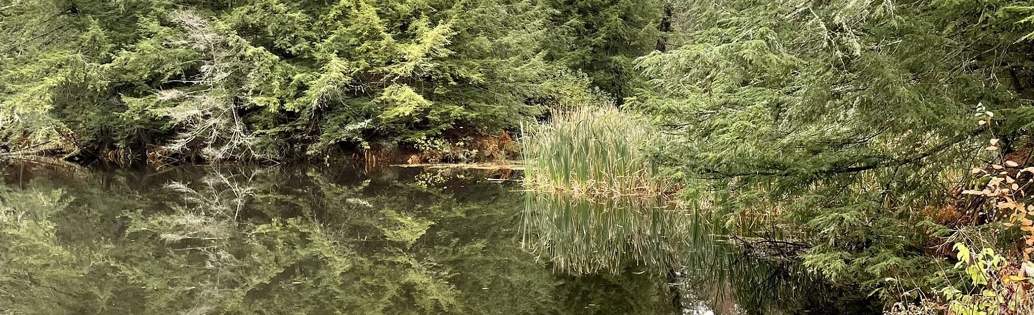 The Dells Trail, New Hampshire - 52 Reviews, Map | AllTrails