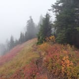 Johnson Ridge Trail, Washington - 235 Reviews, Map | AllTrails