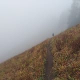 Johnson Ridge Trail, Washington - 235 Reviews, Map | AllTrails