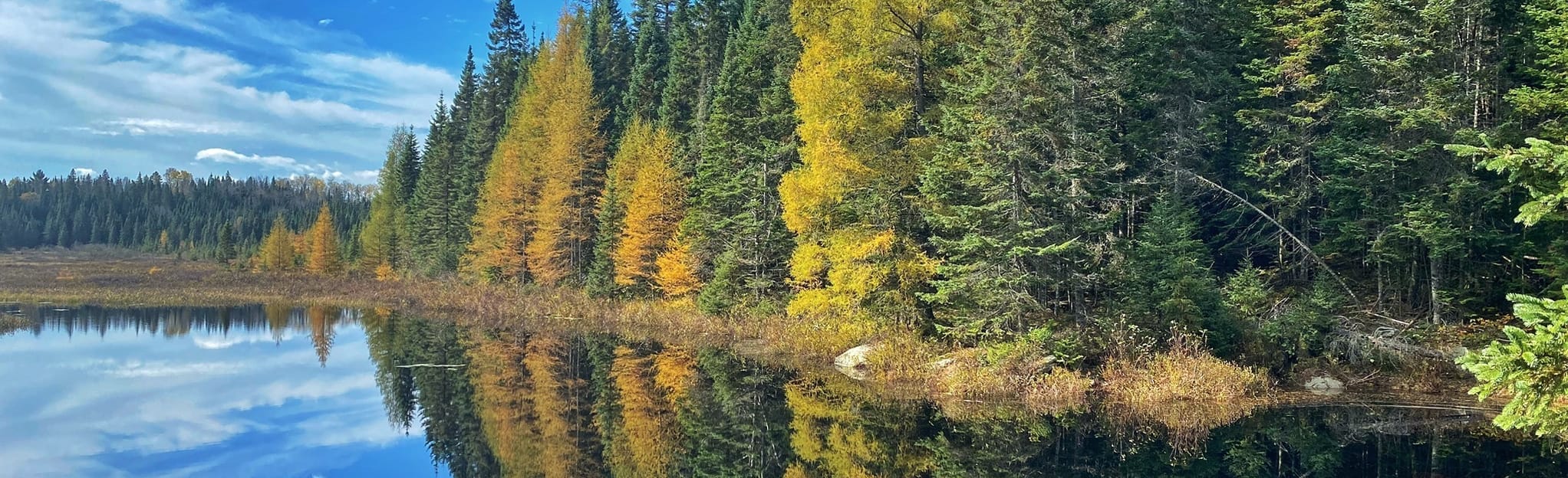 Highland Backpacking Trail: 235 Reviews, Map - Ontario, Canada | AllTrails