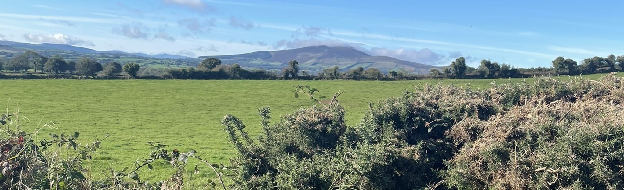 Windgap - Bearna Breac Loop - County Kilkenny, Ireland | AllTrails