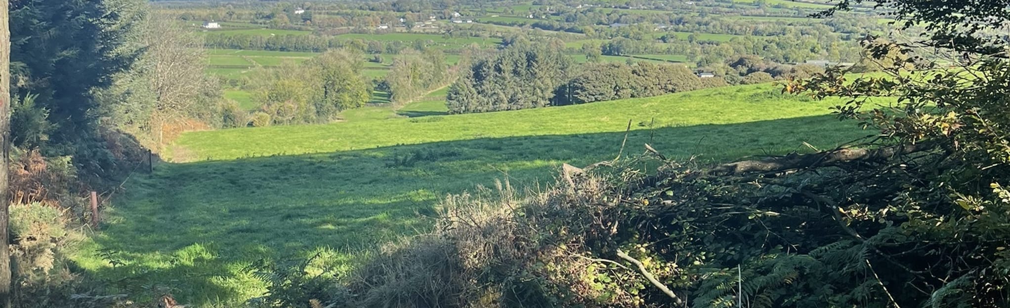 Bearna Breac Loop: 12 Fotos - County Kilkenny, Irland | Wandern | AllTrails