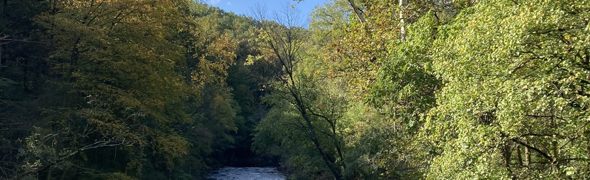 Blue Bell, Forbidden Drive and Orange Trail Loop: 952 Reviews, Map ...