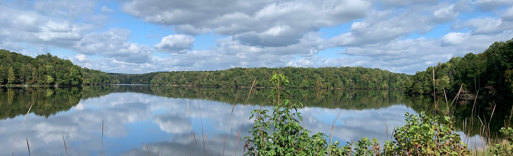 Foster Mill Loop Trail: 330 Reviews, Map - South Carolina | AllTrails