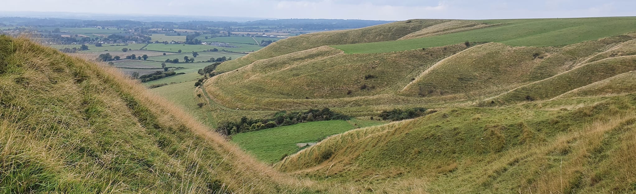 Leipzig Plantaton and Roundway Hill Covert Circular | Map, Guide ...