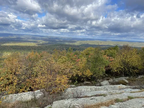 Best Waterfall Trails in Stokes State Forest | AllTrails