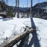 Grandjean Sawtooth Lake Loop, Idaho - 130 Reviews, Map | AllTrails