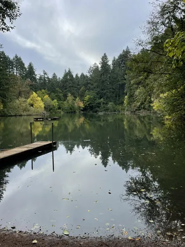 10 Best Forest Trails in McDonald-Dunn Forest | AllTrails