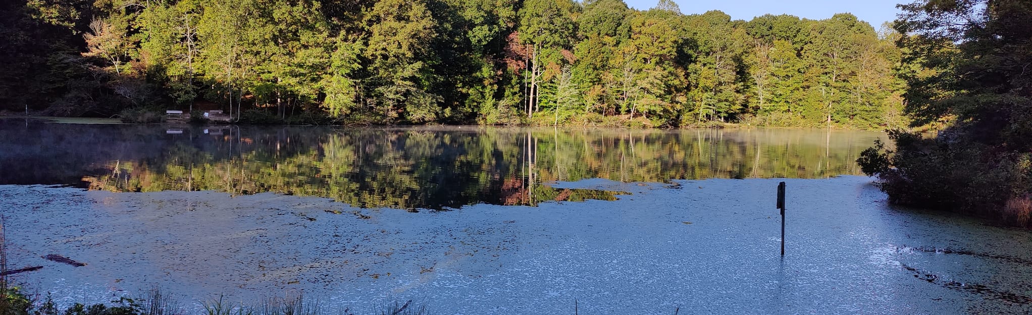 Dragonfly and Kingfisher Pond Loop: 352 Reviews, Map - North Carolina ...