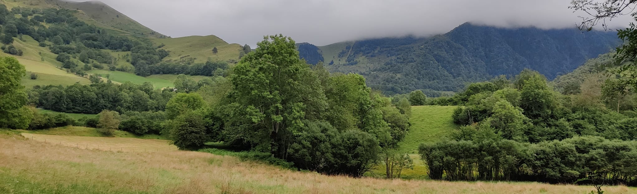 Azet - Granges d'Ourtigué : 131 Photos - Hautes-Pyrénées, France ...