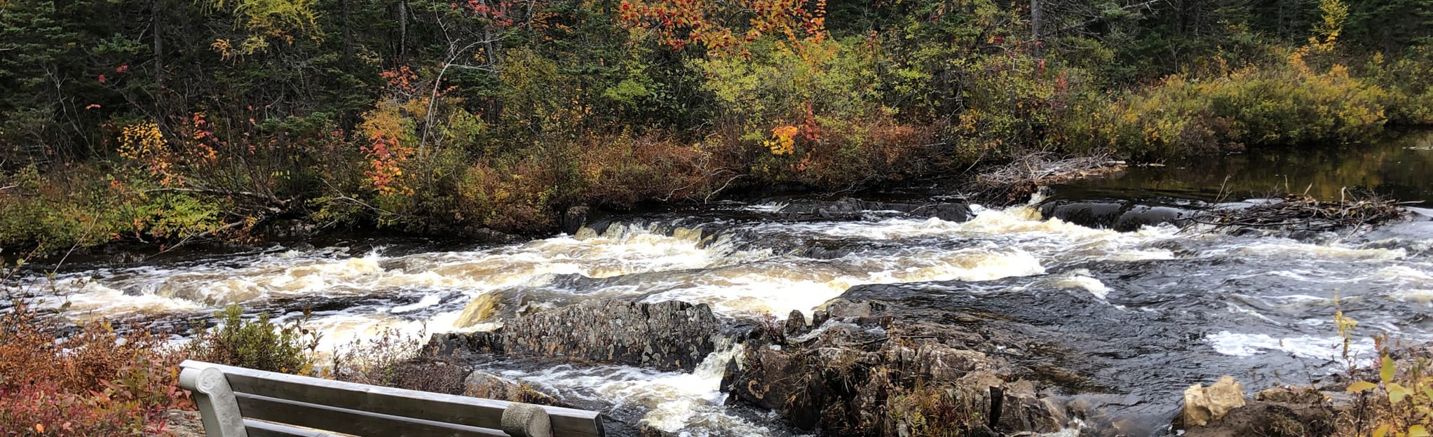 Train Park Trail: 9 Reviews, Map - Newfoundland and Labrador, Canada ...