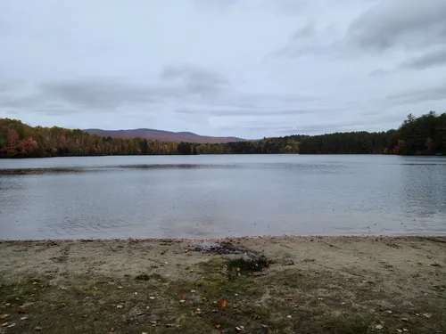 Best Forest Trails in Island Pond | AllTrails