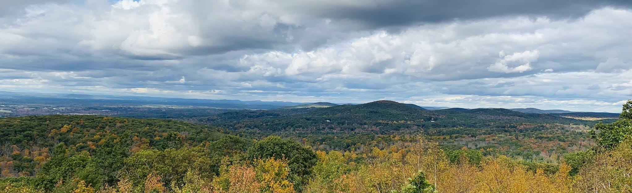 Shenipsit State Forest Loop: 234 Reviews, Map - Connecticut | AllTrails