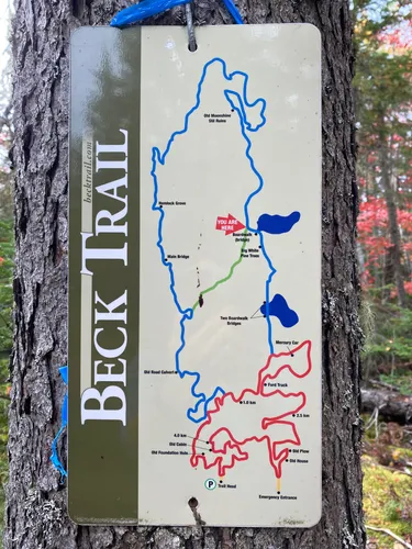 Best Hikes and Trails in John J. & Annie Beck Nature Reserve | AllTrails