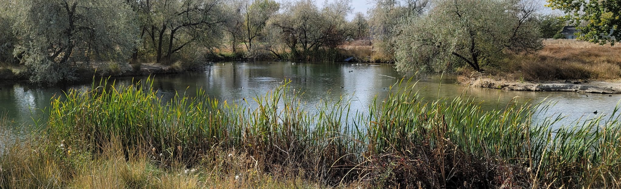 Wilson Springs Loop, Idaho - 170 Reviews, Map | AllTrails