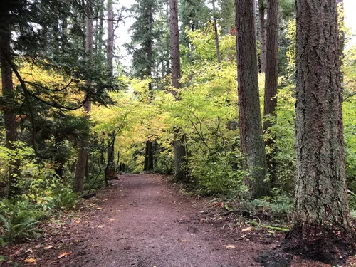 10 Best Walking Trails in Surrey | AllTrails 10 Best Walking Trails in Surrey | AllTrails