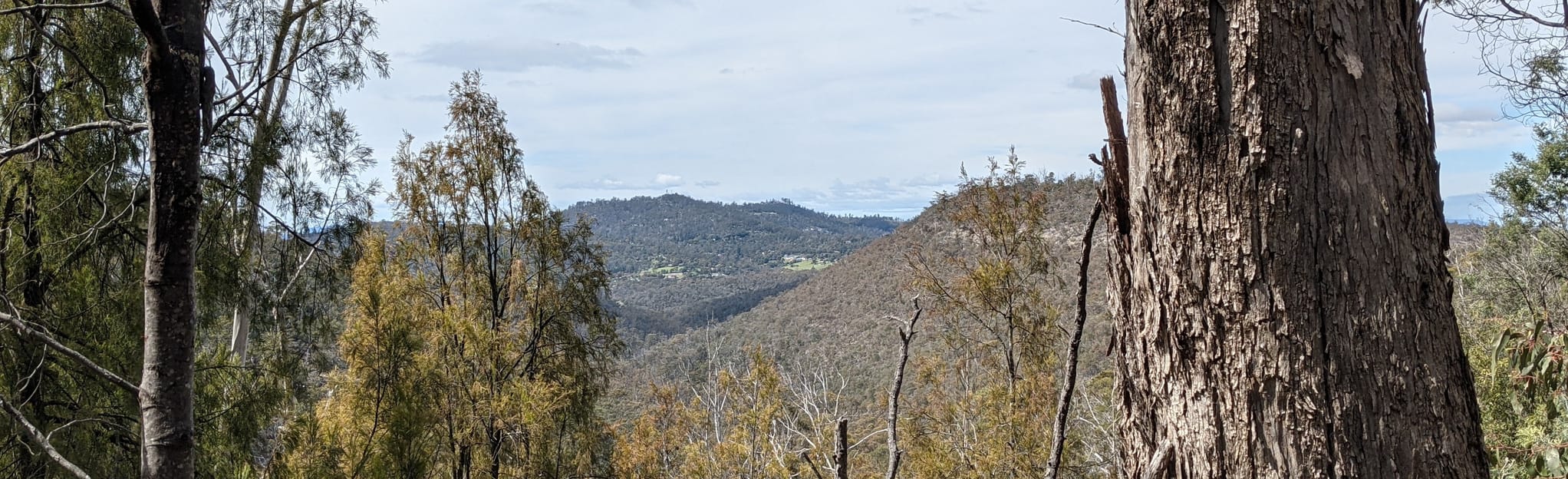 Quarry Climb, Back of the Ridge, Copperhead and Meehan Skyline Trail ...