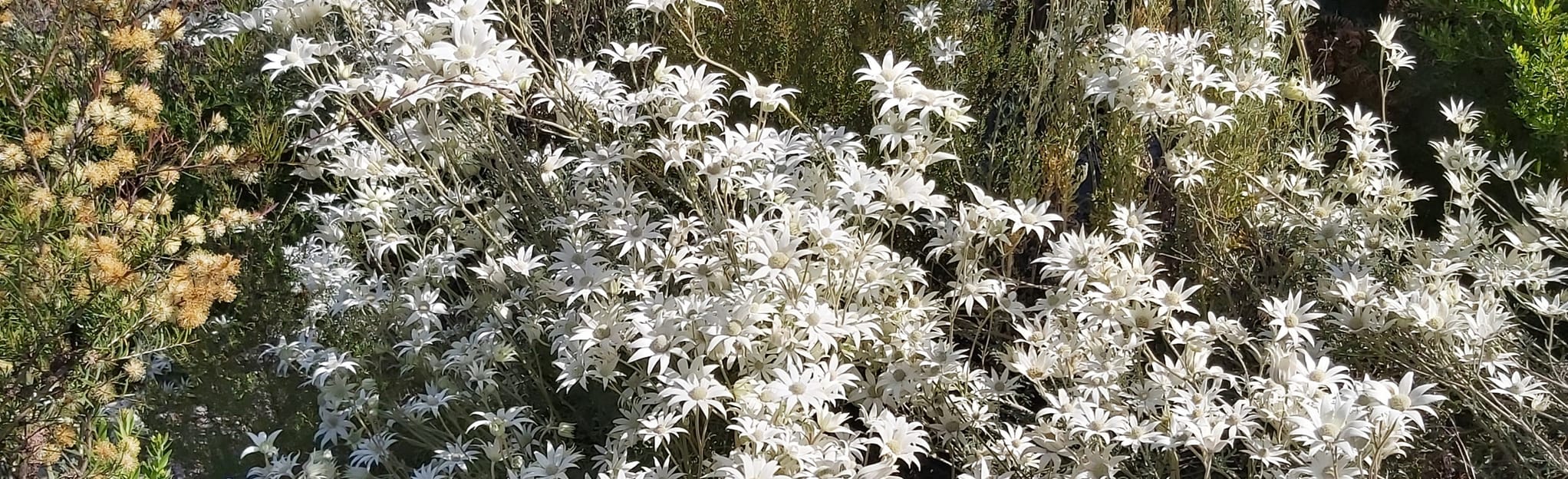 Fern Bay and Aspin Trails: 3 Reviews, Map - New South Wales, Australia ...