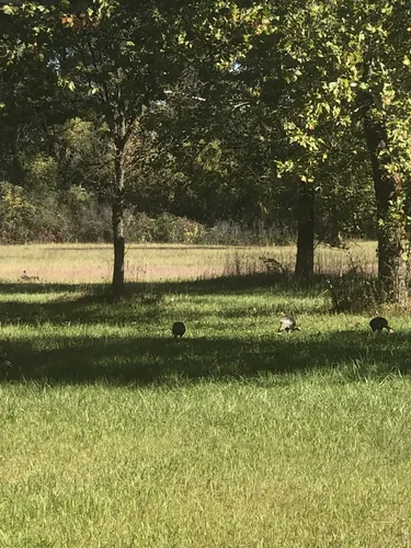 Best Hikes and Trails in Two Rivers State Recreation Area | AllTrails