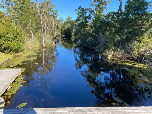 Best Views Trails in Kitty Hawk | AllTrails