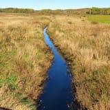 Lake Wobegon Trail, Minnesota - 179 Reviews, Map | AllTrails