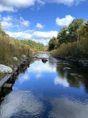 10 Best Forest Trails in Meshomasic State Forest | AllTrails