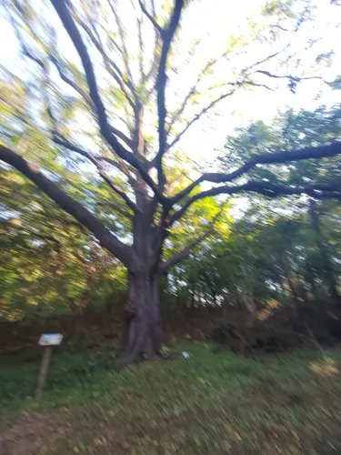 Best Hikes and Trails in Fort Boykin Historical Park | AllTrails