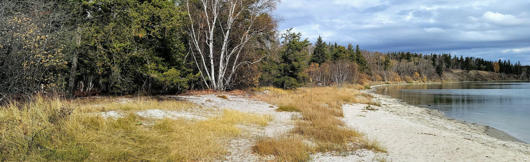 Muskeg Trail to Lakeshore Trail, Alberta, Canada - 48 Reviews, Map ...