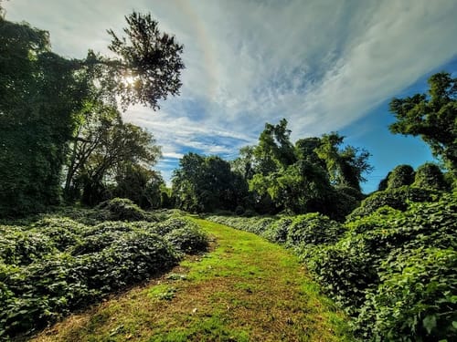 Best Hikes and Trails in Ward Acres Park | AllTrails