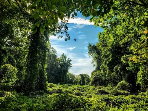 Best Hikes and Trails in Ward Acres Park | AllTrails