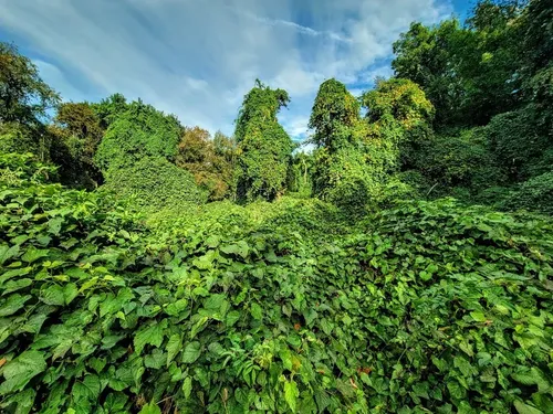 Best Hikes and Trails in Ward Acres Park | AllTrails