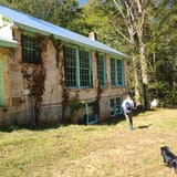 Powder Mills to Rocky Falls, Missouri - 95 Reviews, Map | AllTrails