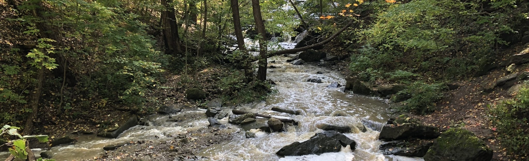Felker's Falls to Devil's Punchbowl Lookout: 713 Reviews, Map - Ontario ...