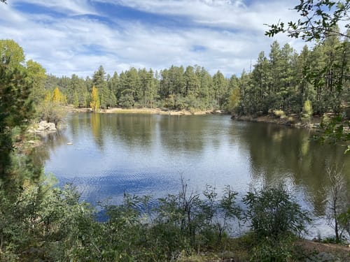 2023 Best 10 Easy Trails in Prescott National Forest | AllTrails