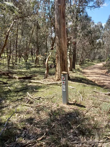 Best Hikes and Trails in Woomargama National Park | AllTrails