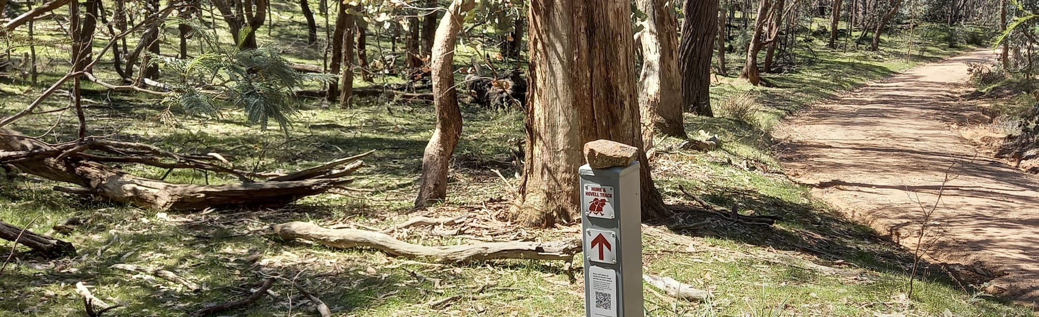 Samual Bollard Campground to Persons Trail, New South Wales, Australia ...