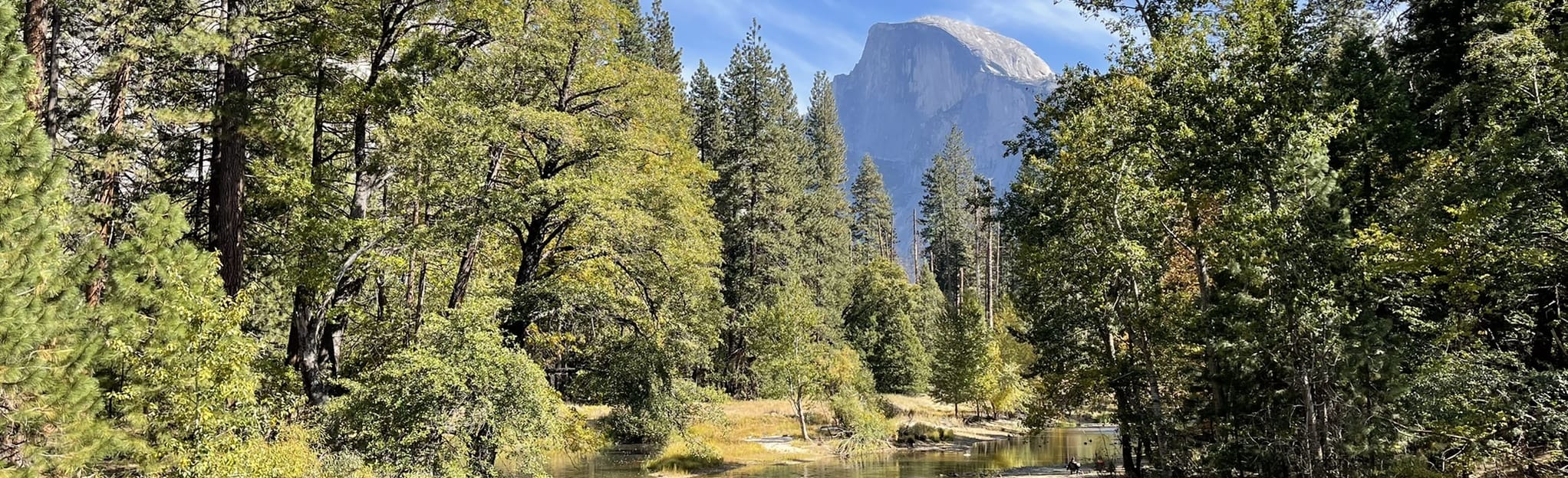 Sentinel Meadow Cook's Meadow Loop Trail, California - 2,850 Reviews ...