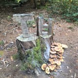 Capen Hill Nature Sanctuary, Massachusetts - 194 Reviews, Map | AllTrails