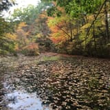 Capen Hill Nature Sanctuary, Massachusetts - 194 Reviews, Map | AllTrails