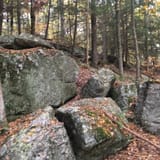 Capen Hill Nature Sanctuary, Massachusetts - 194 Reviews, Map | AllTrails