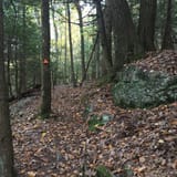 Capen Hill Nature Sanctuary, Massachusetts - 194 Reviews, Map | AllTrails