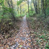 Capen Hill Nature Sanctuary, Massachusetts - 194 Reviews, Map | AllTrails